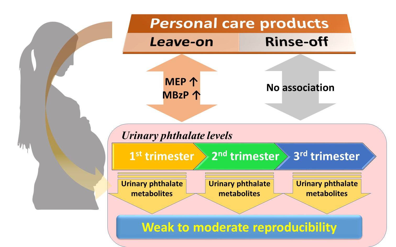 Personal care products use and phthalate exposure levels among pregnant ...
