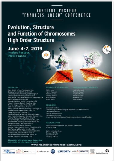 What I learned from Prof. Kim Nasmyth’s closing remarks at the ...