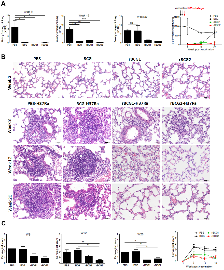 圖1 – NHRI Communications